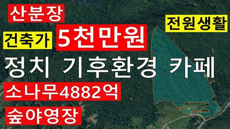5천만원 계획관리 2차선접 임야 건축가 전원생활 숲야영장334억년매출6차산업 숲가치4921억 탄소권1762만원 약용재배 임업직불금 땅과함께새희망을경매임야 공매임야 나도