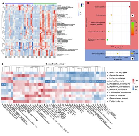 Metabolite Composition And Functional Characteristics A Heatmap Of