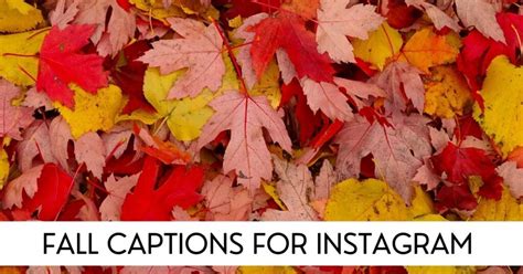 150 Fall Instagram Captions To Share Statusbuzz