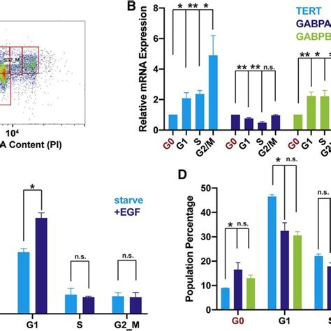 Egfr Signaling Induces Entry Into The Cell Cycle And Elevated Gabp And