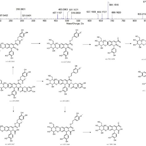 Tof Ms Ms Spectrum Of Compound 40 And Its Hypothesized Main Download Scientific Diagram