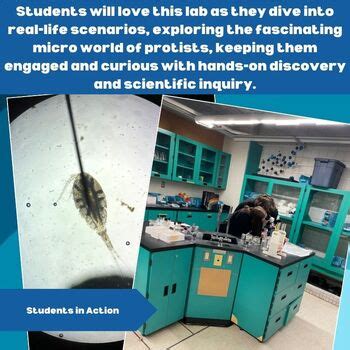 Pond Water Lab SBI U Protist Identification Diversity Of Living Things