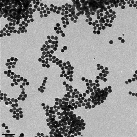 Bare Spherical Gold Nanoparticles