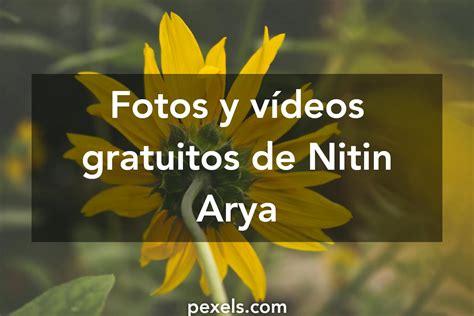 Nitin Arya Fotografía