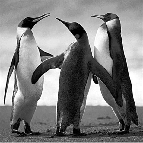 image processing using matlab basic operations part 2