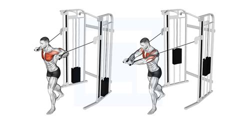 Cable Standing Chest Press Guide Benefits And Form