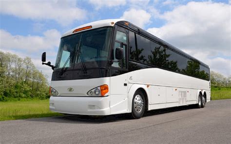 A Complete Guide To Bus Types