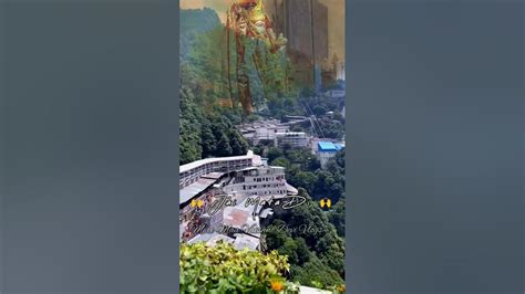 ओ आये तेरे भवन देदे अपनी शरण रहे तुझमें मगन थाम के यह चरण Vaishno