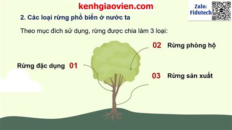 Giáo án Powerpoint Bài 4 Giới Thiệu Chung Về Rừng Ga điện Tử Công
