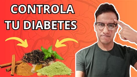 10 Alimentos Para Controlar Tu Diabetes Alimentos Funcionales Youtube
