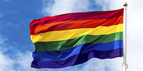 Heterosexual Pride Day Isnt That Like Every Day Article Cats