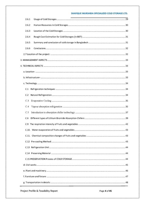 Project Profile Sample Crafting Excellence In Every Endeavor Project Profile Bangladesh