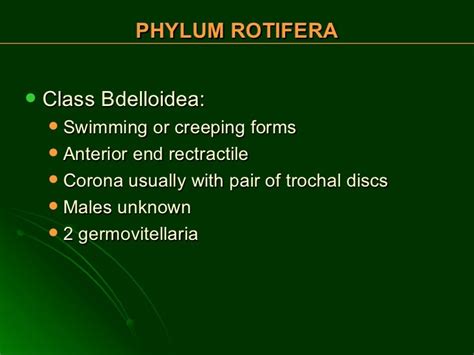 Phylum Rotifera
