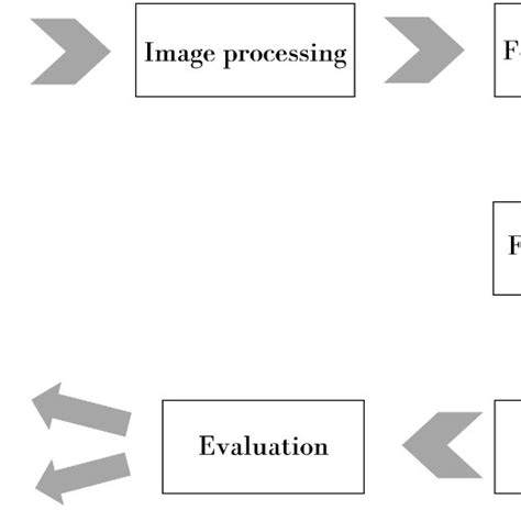 Main Steps For Brain Tumor Detection Evaluation Download Scientific