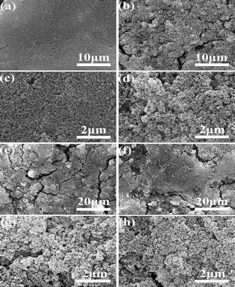 SEM Images Of Different Samples SEM With Mass Ratio Of SiO2 To ZnO Download Scientific Diagram