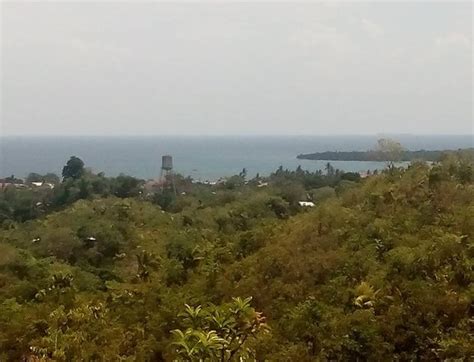 Palompon Leyte Properties 239 Properties July 2024 On
