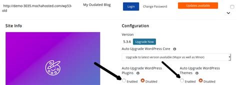 Auto Upgrade Wordpress Core Settings