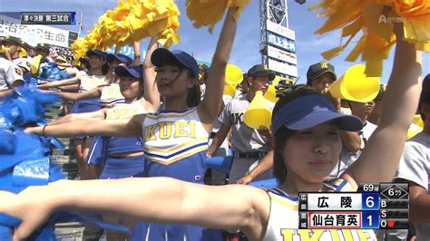 和行 On Twitter 甲子園の仙台育英高校のチア（2017年8／20） チア チアリーダー チアガール 仙台育英高校 仙台