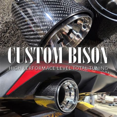 아반떼n 머플러팁 튜닝 Jsr 전용 카본팁 장착 일산 배기튜닝 전문 커스텀바이슨 네이버 블로그