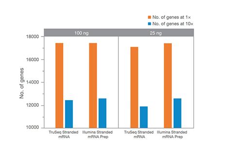 Illumina Stranded Mrna Prep A Clear View Of The Coding Transcriptome
