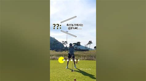 이런 구찌를 봤나조용히 좀 해줄래 골프구찌 골프스윙 스톤비치 골프스윙 Golfswing 구찌극복 다양한골프구찌 골프재밌는영상 Golfreview