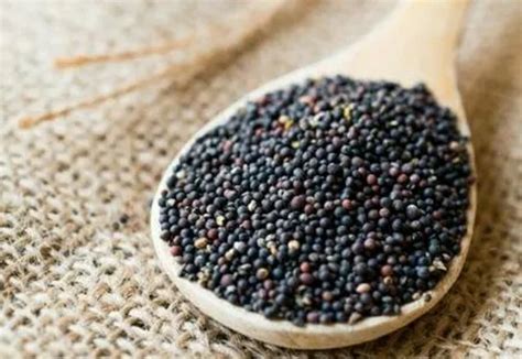 Pattu Mustard Seed Brown 200g Aukart Com Au