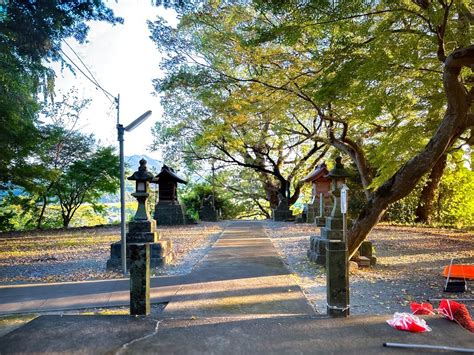 境内一面の銀杏がかつてないほどに 宇都宮神社肥後國木葉鎮座病気平癒や健康長寿勝負事の神社で 12377