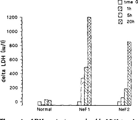 Figure 1 From Complement Mediated Adipocyte Lysis By Nephritic Factor Sera Semantic Scholar