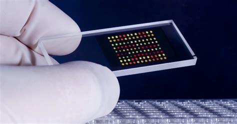 Microarray Technology From Basics To Advanced Applications