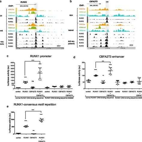 Runx1 And Cbfa2t3 Interplay For Their Transcription A And B Chip Seq Download Scientific