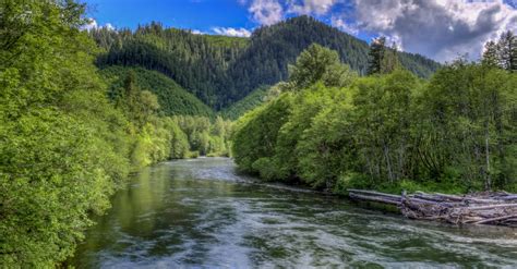 Oregon Rivers Eugene Cascades And Oregon Coast