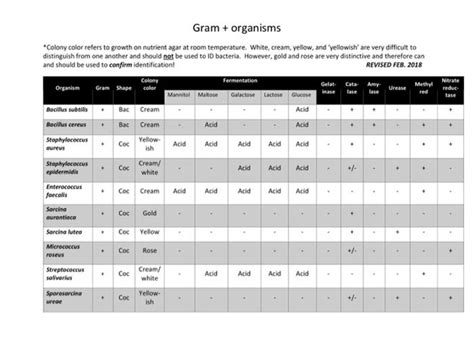 Solved Using The Information From The Gram Positive Chart