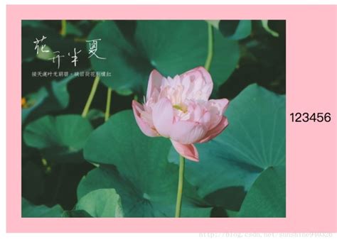 【css】 常见 Css 布局 知乎