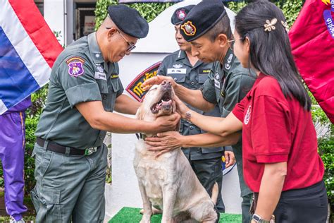 แฟนตำรวจของไทย แฟนตำรวจของไทย แฟนนายสิบทุกรุ่น