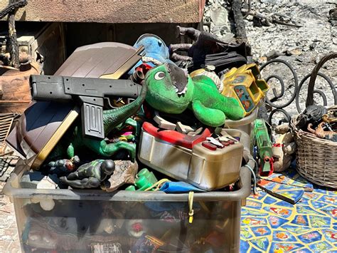 Ho Scavato Nella Cenere La Storia Dell Apicoltore Che Ha Perso Casa