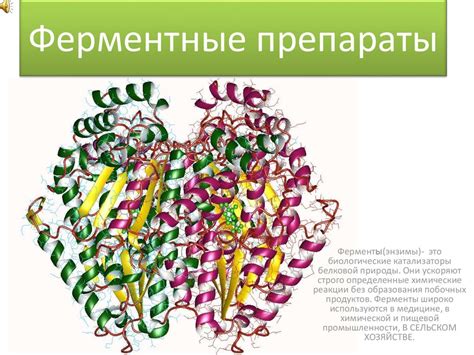 Ферментные препараты - презентация онлайн