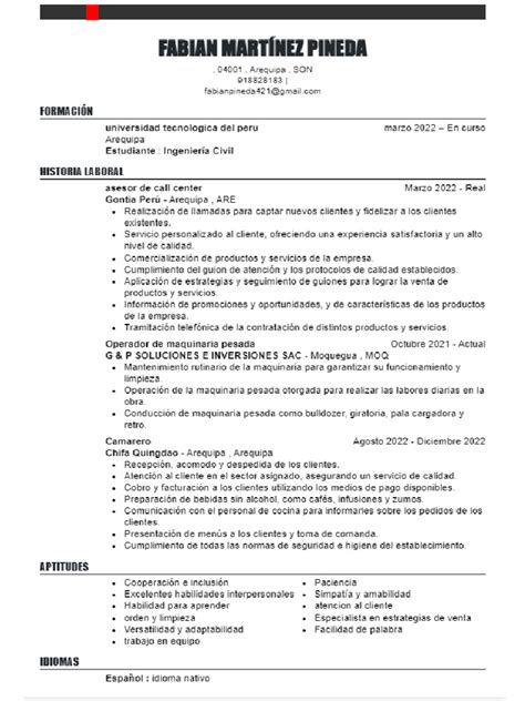Cv Fabian Martinez Pdf