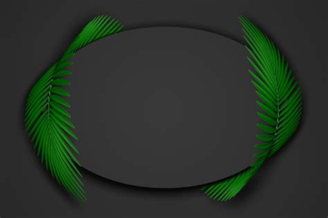 두 둥근 푹신한 야자수 잎으로 둘러싸인 타원형 프레임의 추상적 인 어두운 검은 색과 녹색 현대 배경 3d 일러스트레이션3d 렌더링 0명에 대한 스톡 사진 및 기타 이미지