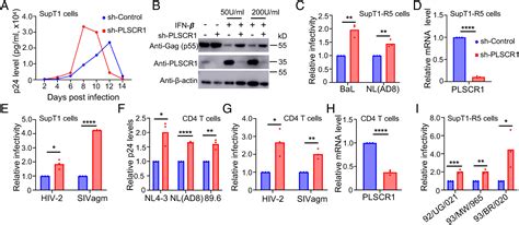 Ifn Inducible Human Phospholipid Scramblase 1 Plscr1 Protein Restricts Hiv 1 Infection By