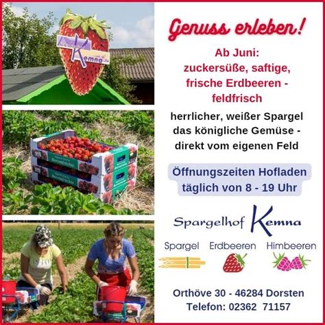 Der Süße Genuss Des Jahres Erdbeeren Zum Selberpflücken
