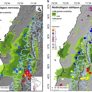 Zoning Of The Current Distribution Of Nothofagus Nervosa And Nothofagus