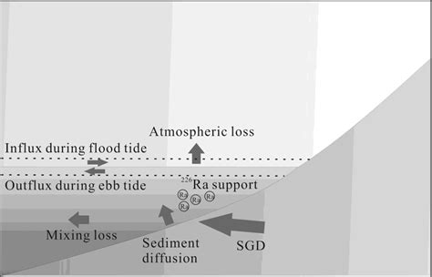 Figure 2 From Estimation Of Submarine Groundwater Discharge In Plover Cove Tolo Harbour Hong