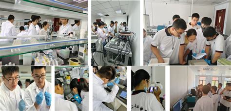 “怀揣热爱和初心，成为生物经济产业发展的奋斗者”——生物工程学院生物分子工程教工党支部与大连市第二十四中理科教研室党支部开展共建活动 大连理工