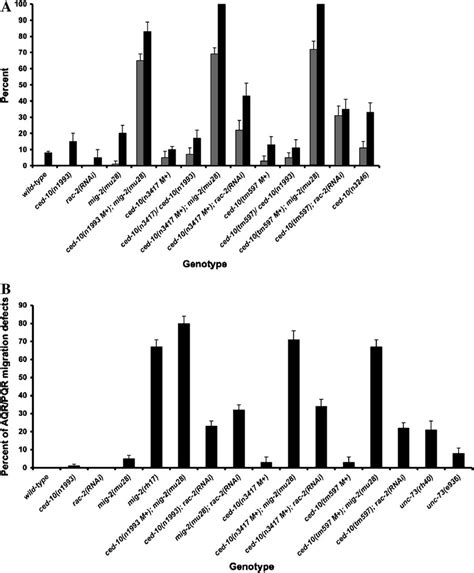 —null Ced 10 Alleles Synergize With Mig 2 And Rac 2 In Axon Pathfinding