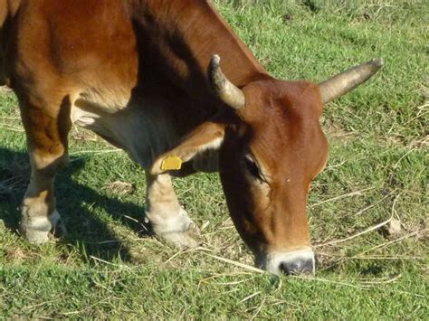 【excel Vba】第1月曜日の日付を取得したい Excel Vba 研究所（入門）