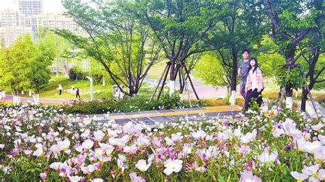 赣州蓉江新区：打造现代山水花园城市凤凰网江西凤凰网
