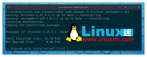 Arch Linux 中用于包管理的 Gui 应用程序 Linux迷