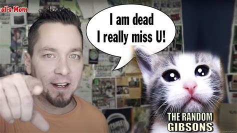 Steve Cash Talking Kitty Cat The Internet Sensation You Need To Know About