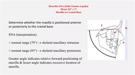 Steiner Analysis In Orthodontics Nay Aung Phdpdf