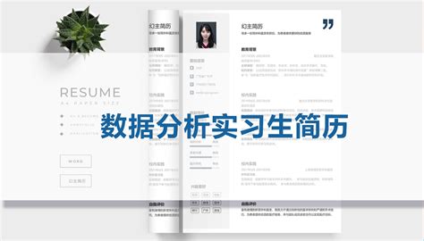 数据分析实习生的简历 幻主简历